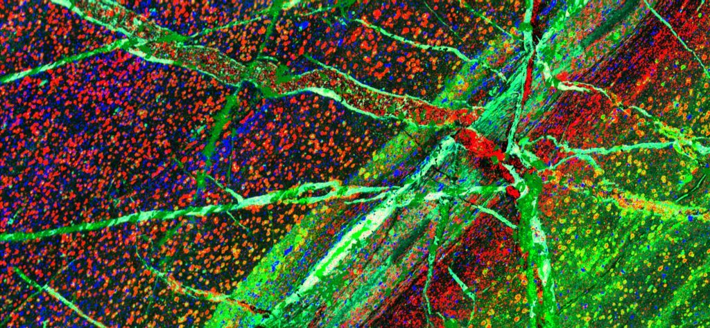 What to know about graphite: mineral of extremes - Oresome Resources